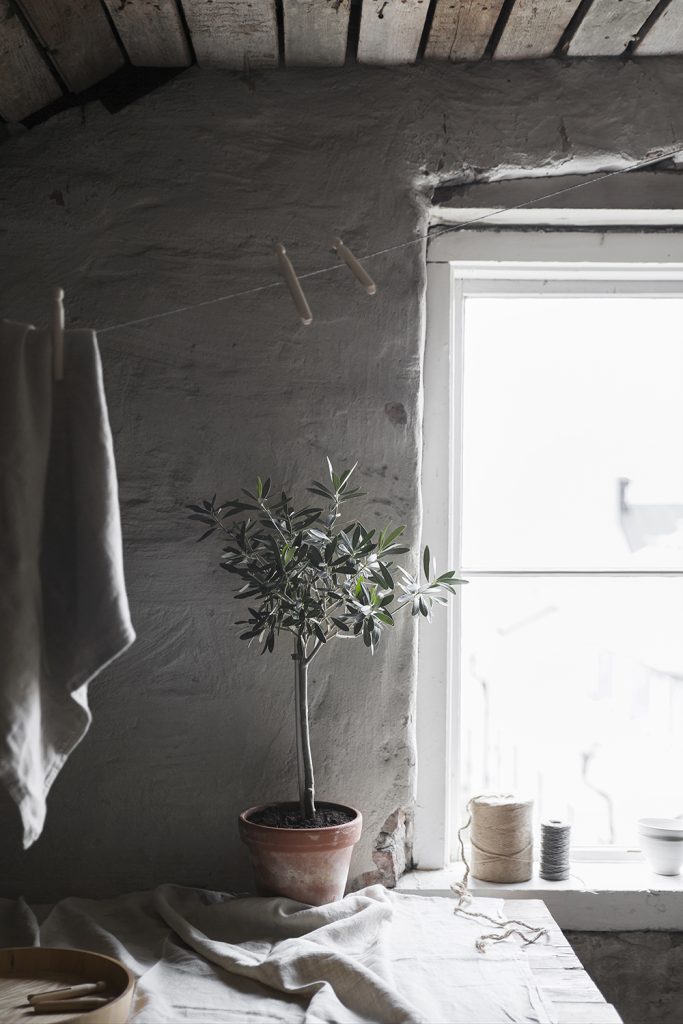 PORTFOLIO | Hemtrender